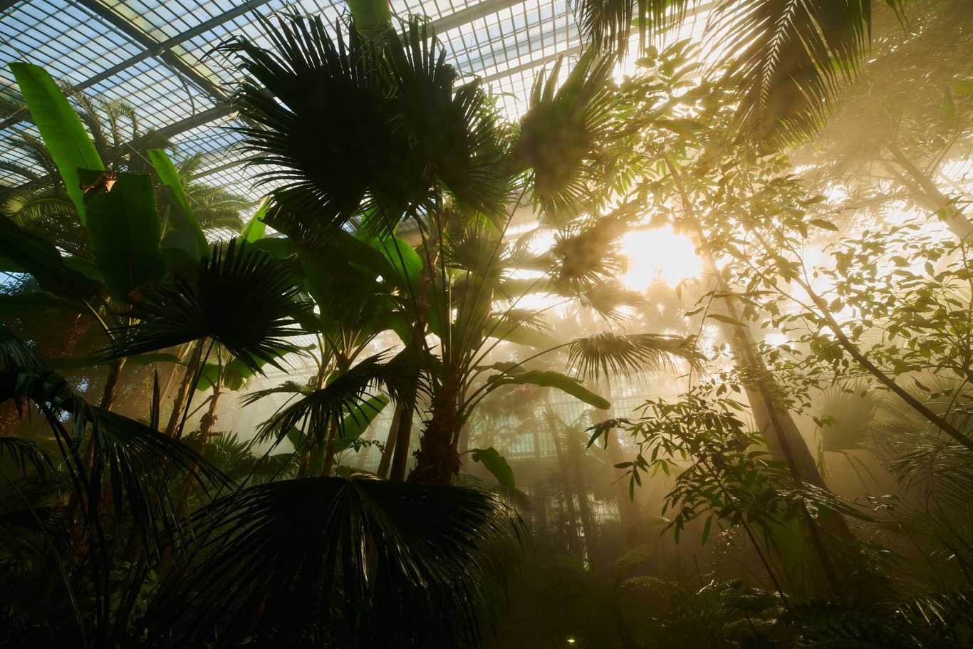 Startseite | Tom Wolf Photografie